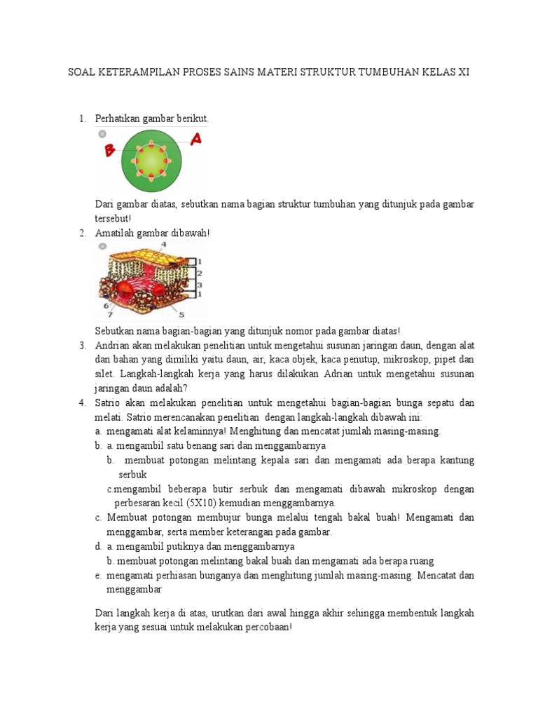 Keterampilan Proses Sains Struktur Tumbuhan | PDF