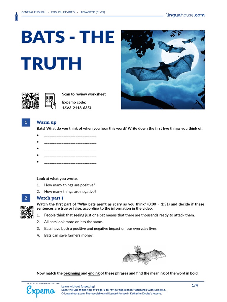 Bats The Truth British English Teacher | PDF | Bat | Vaccines