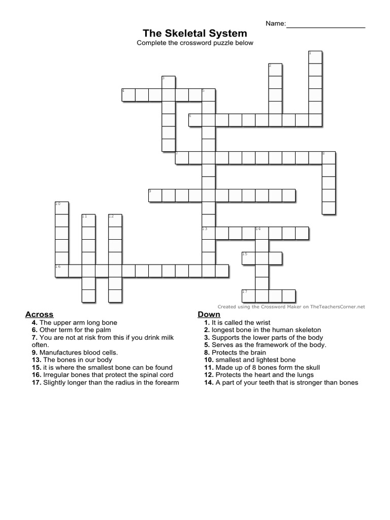 Crossword-Skeletal System | PDF