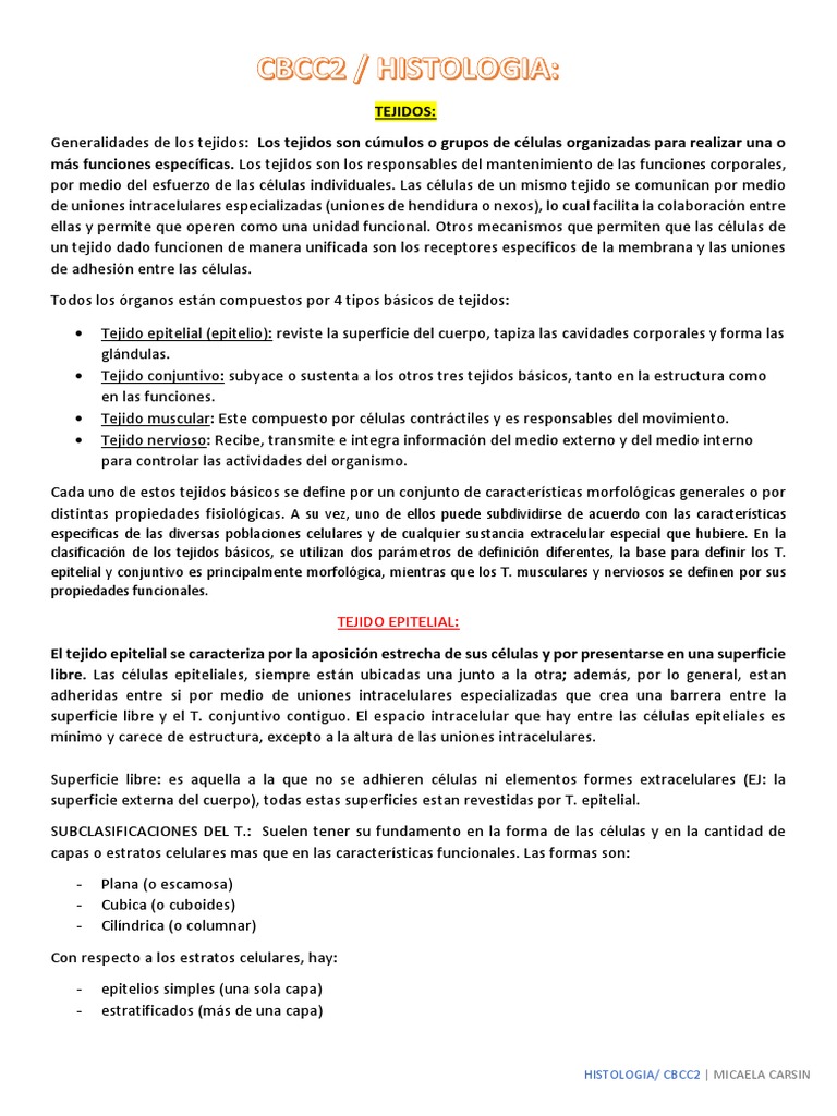CBCC2 Histologia (Libro Ross - Resumen) | PDF | Epitelio | Tejido conectivo
