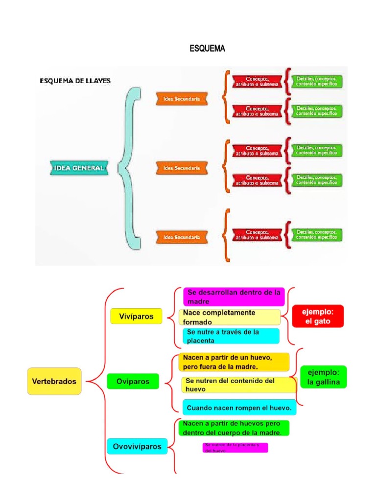 ESQUEMA y Mapas | PDF