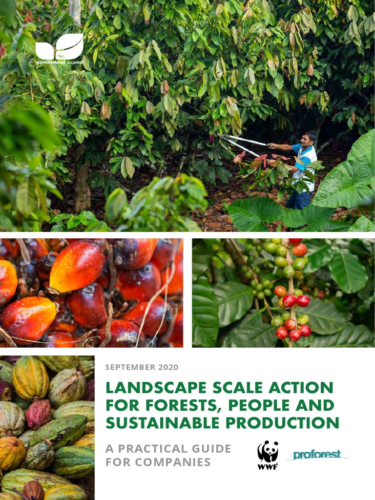 Landscape Scale Action For Forests, People, and Sustainable Production ...