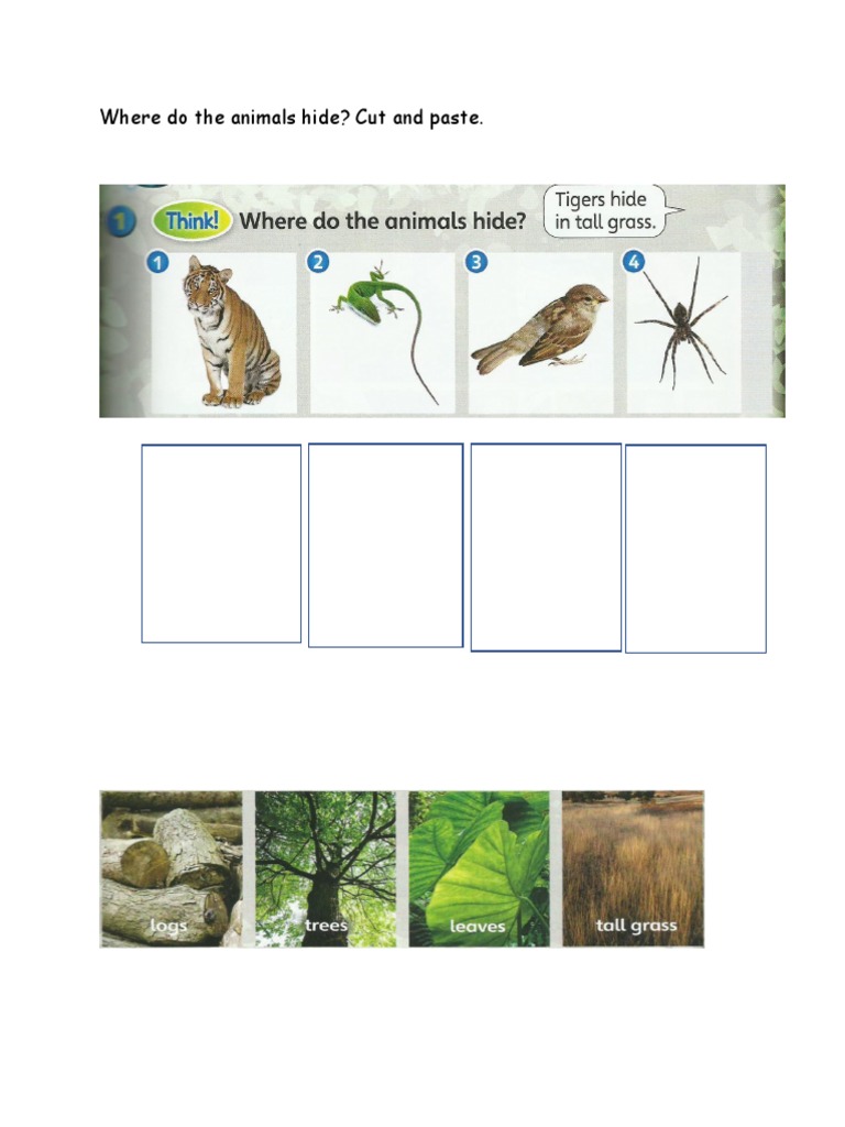 Where Do The Animals Hide | PDF
