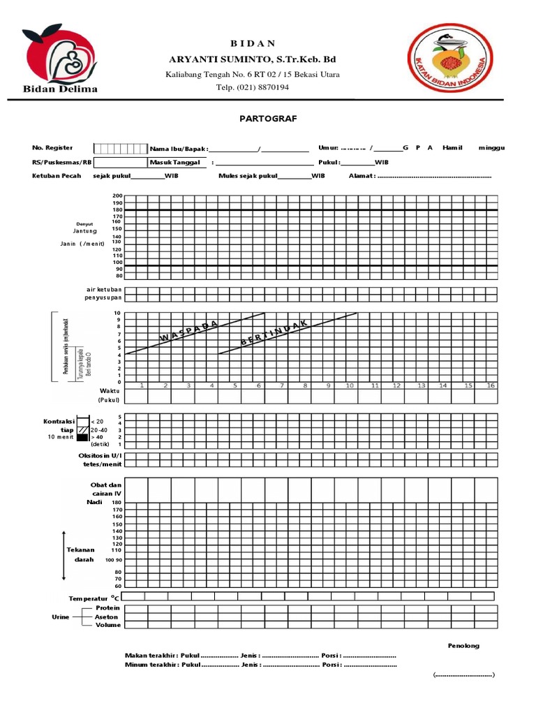 Lembar Partograf Bolak Balik Bidan Delima | PDF