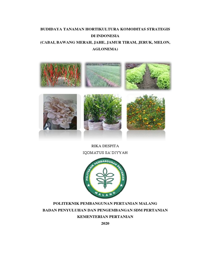 Pertemuan 4. Pengolahan Lahan Tan Horti | PDF