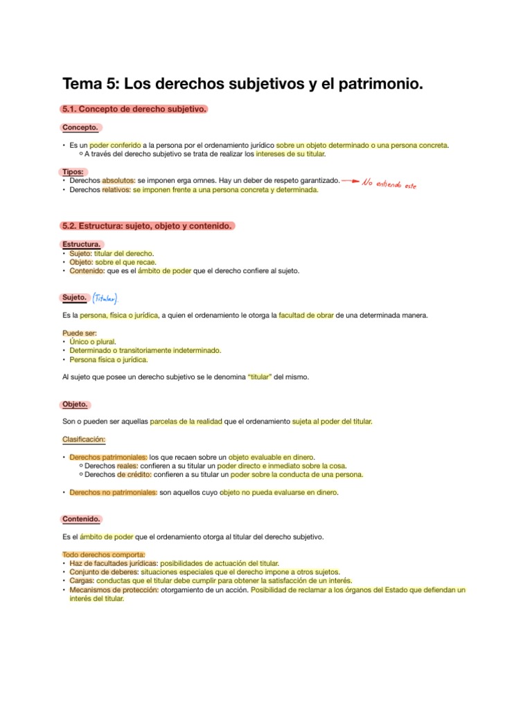 Tema 5 - Resumen - Derechos Fundamentales | PDF