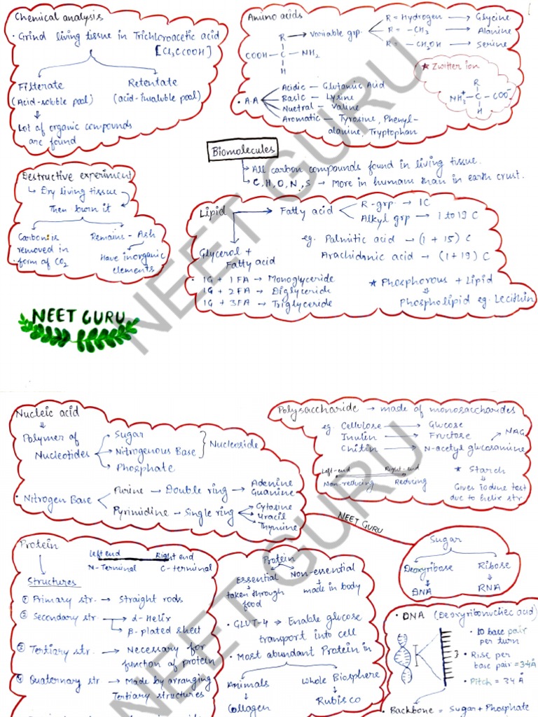 Chap 9 Biomolecules | PDF | Natural Products | Organic Chemistry