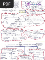 Class 12 Comp. Biology Mindmaps by Rakshita Singh | PDF