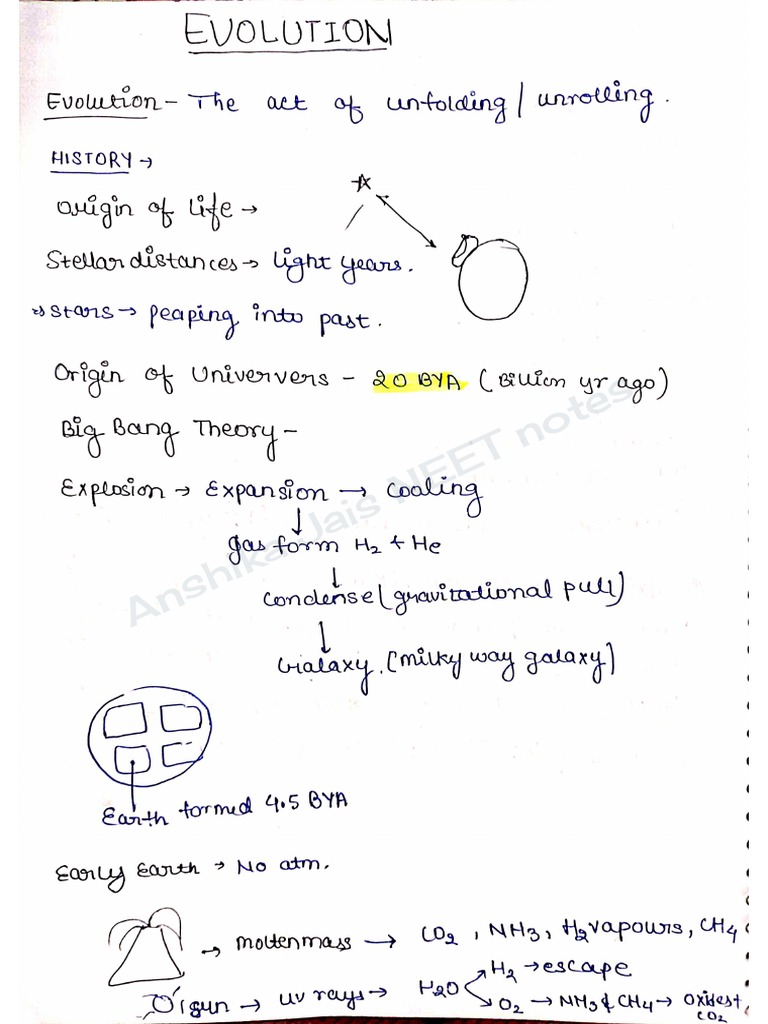Evolution Chapter | PDF