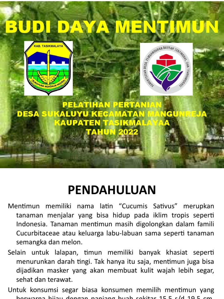 Mentimun | PDF | Sains & Matematika | Teknologi & Rekayasa