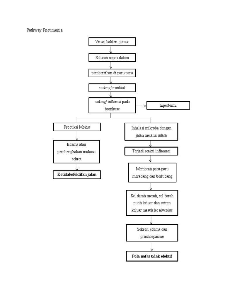 Pathway Pneumonia | PDF