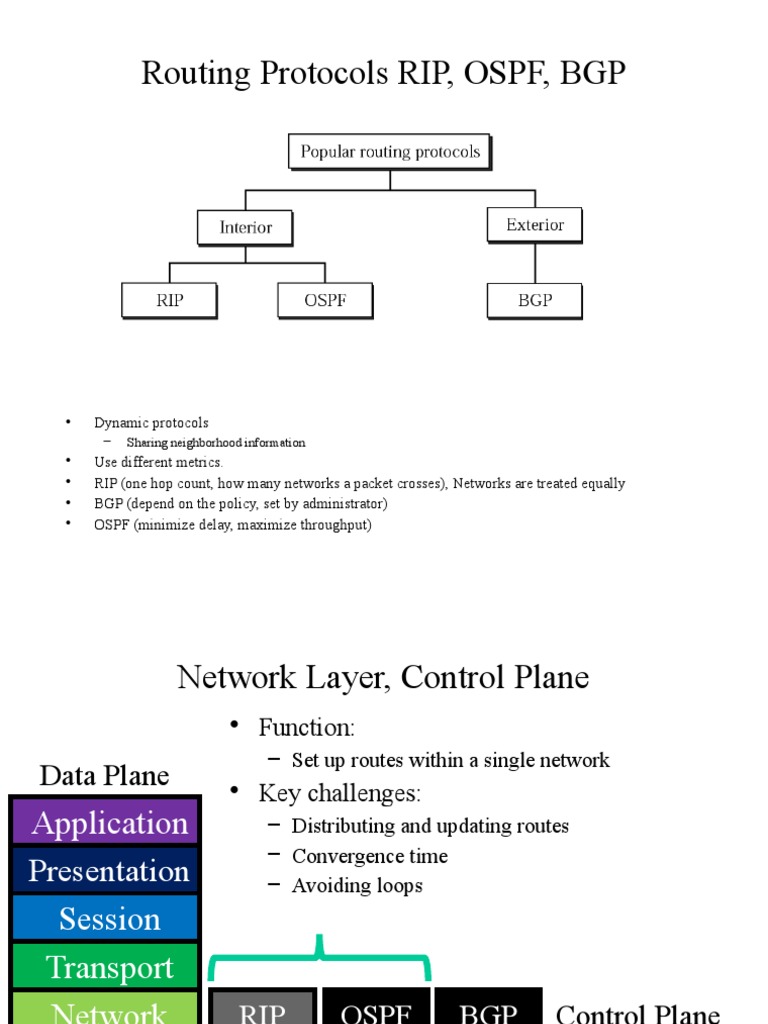 16 Routing Protocols RIP OSPF BGP 12122022 104409am | PDF | Routing | Computer Network