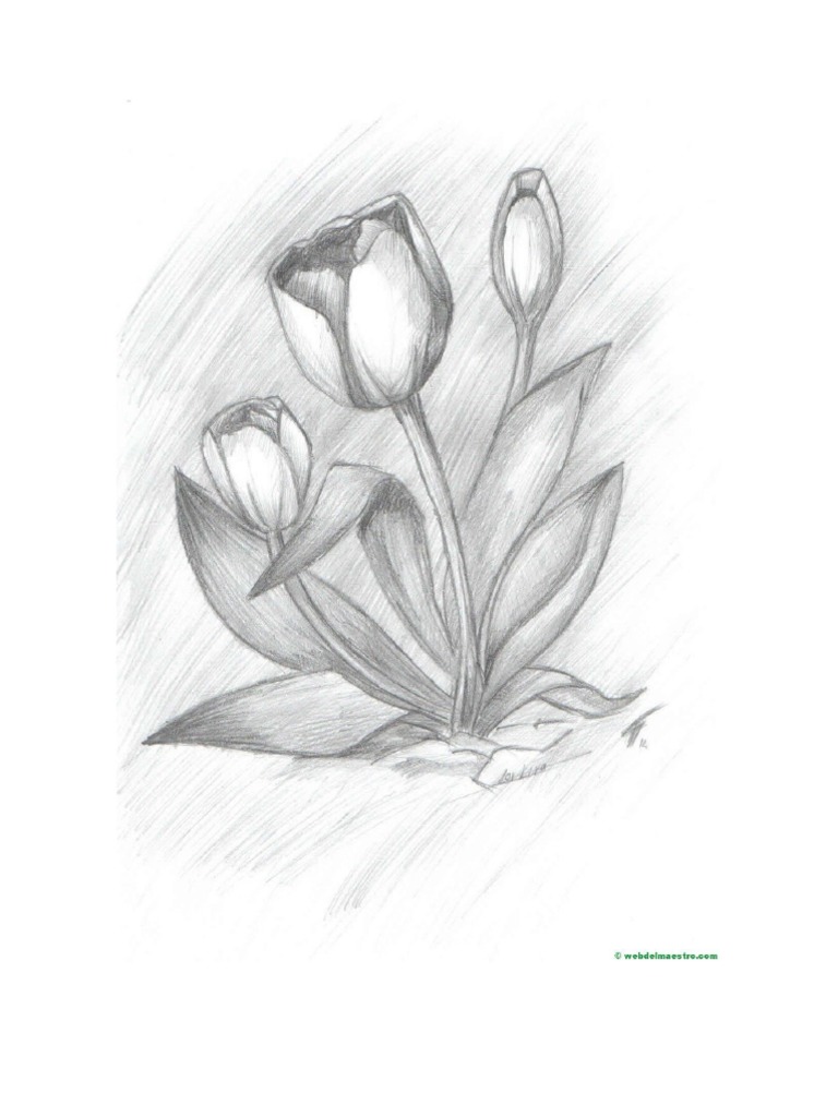 DIBUJOS A LAPIZ ARTE | PDF