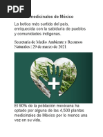 Drogas Naturales | PDF | Drogas | Alucinógeno