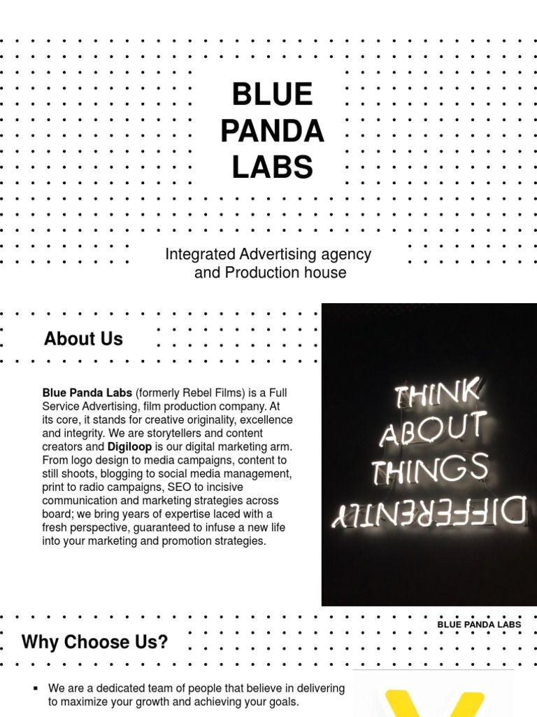 Blue Panda Labs | PDF | Advertising | Digital Marketing