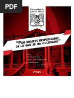 Actividad 9. Prototipo 2 | PDF