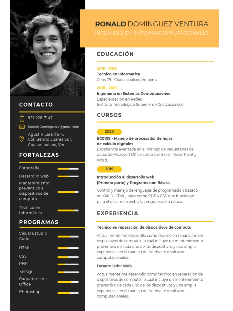 Blue Light Blue Color Blocks Flight Attendant CV | PDF | Microsoft ...