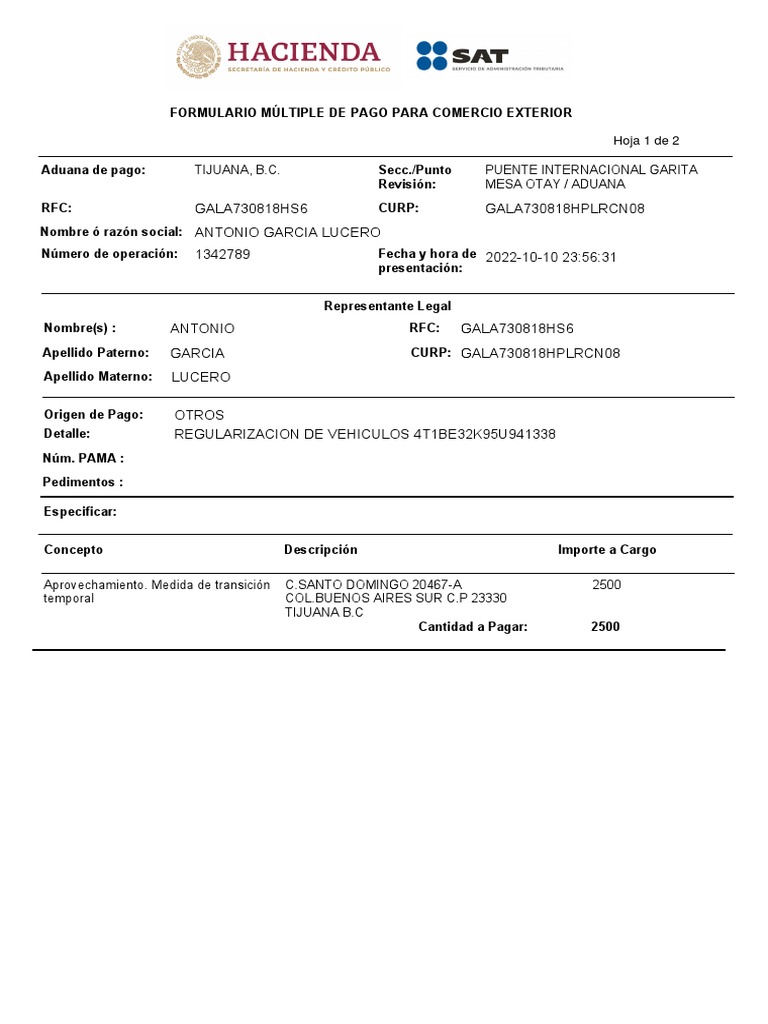 Llenado Del Sat de Antonio | PDF | aduana | Gobierno