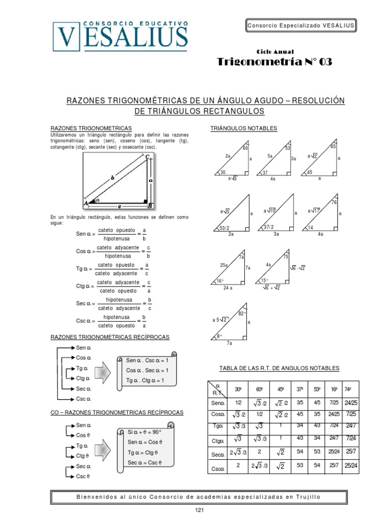 Trig (03) Razones Trigonometricas 121 - 126 | Descargar gratis PDF | Funciones trigonométricas ...