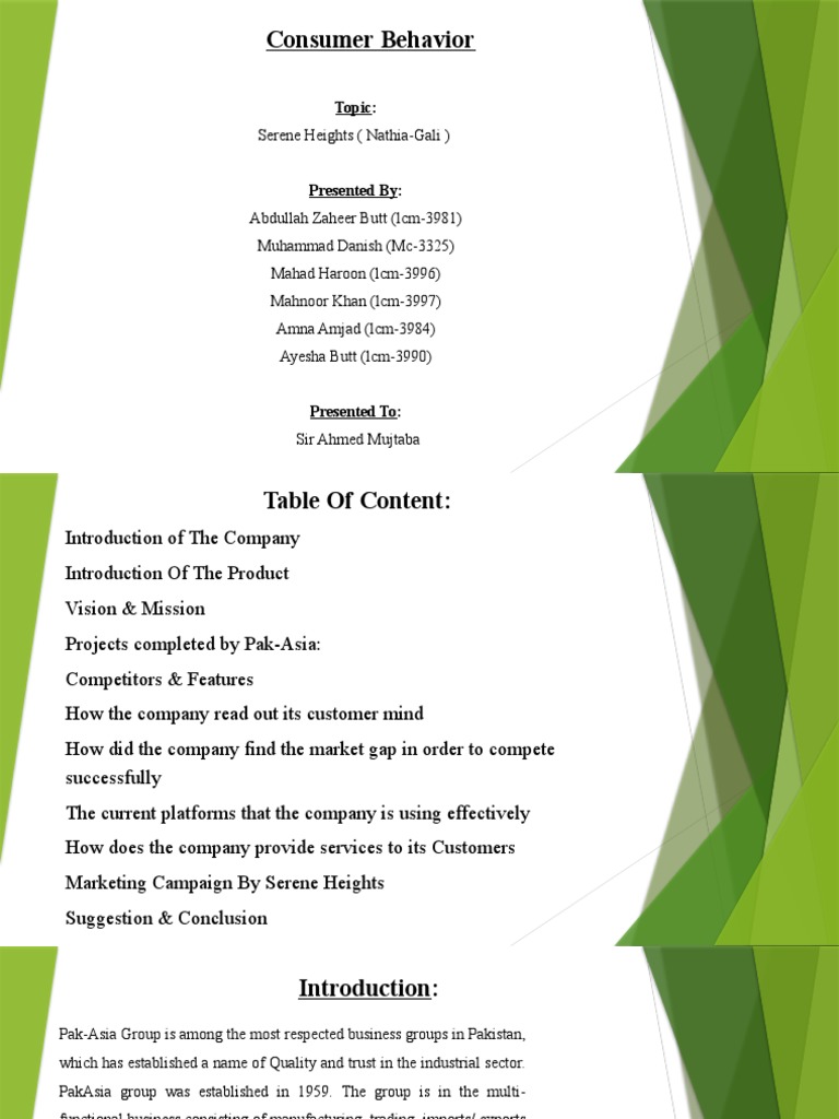 Consumer Behavior Final Project Slides | PDF | Social Media | Popular Culture & Media Studies