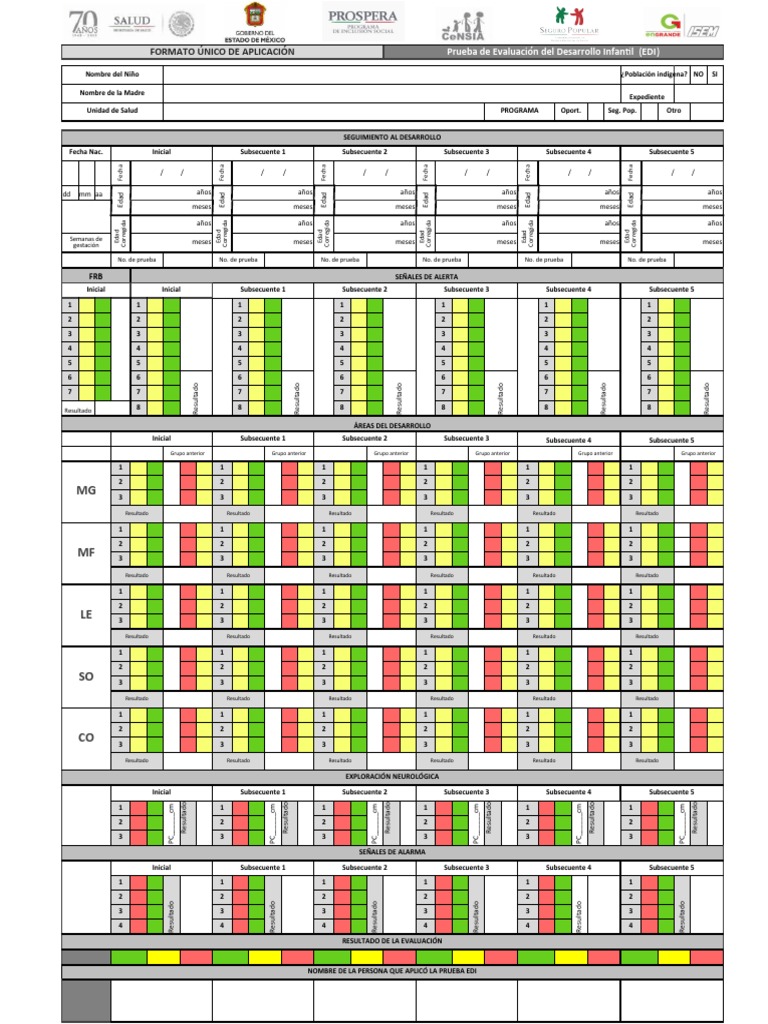 Formato de Aplicacion Edi | PDF