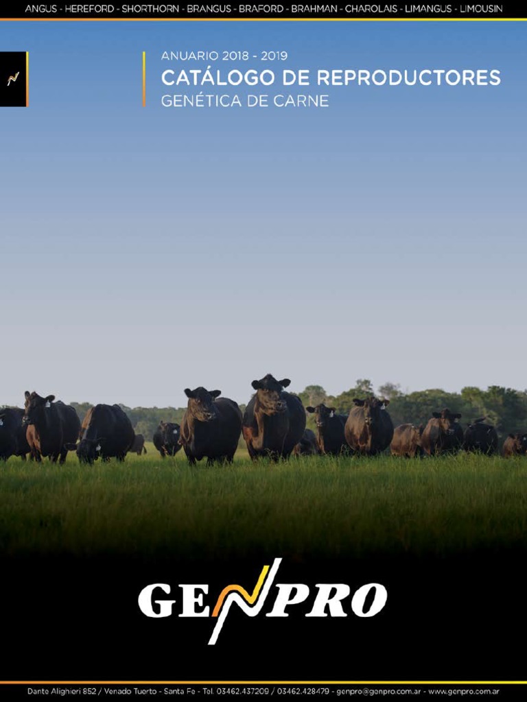 Catálogo GENPRO Carne 2018-19 | PDF | Vacas | Animales y humanos