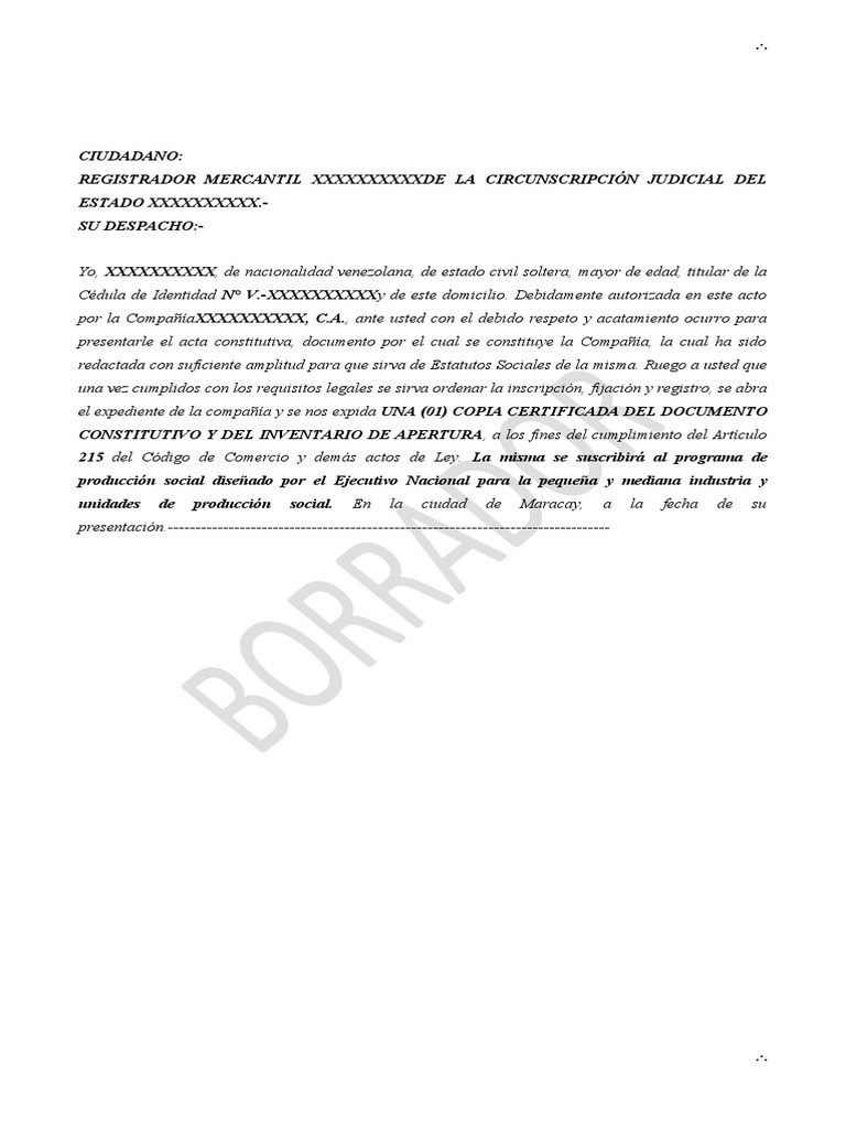 Modelo Pyme 2021 | PDF | Business | Compartir (Finanzas)