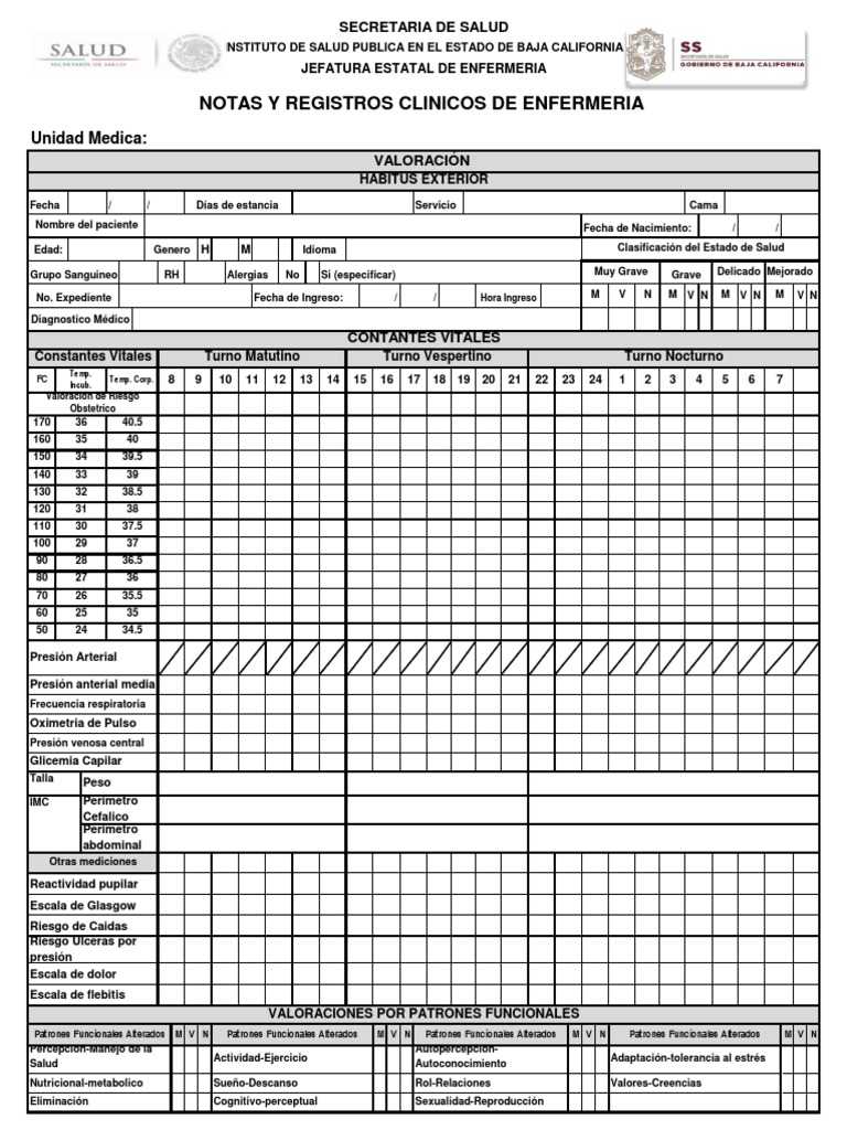 Notas y registros clinicos de enfermeria | PDF | Medicamentos con ...