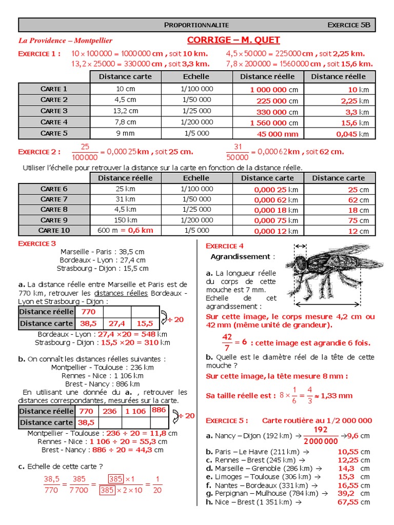 Utilisation D Echelles Corriges D Exercices | PDF | Informations et ...
