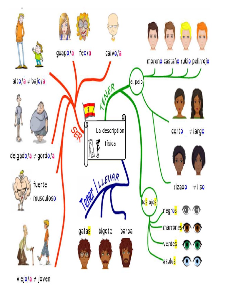 Carte Mentale Description Physique Blog 3 | PDF