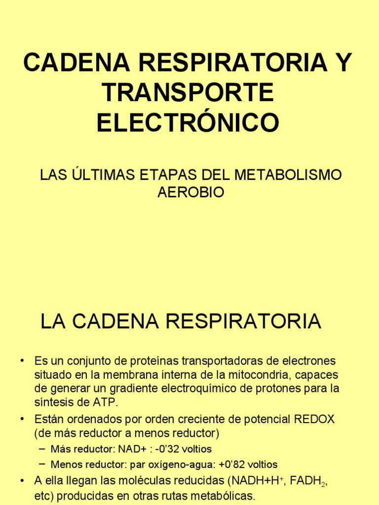 9-Cadena Respiratoria | PDF | Cadena de transporte de electrones | Trifosfato de adenosina