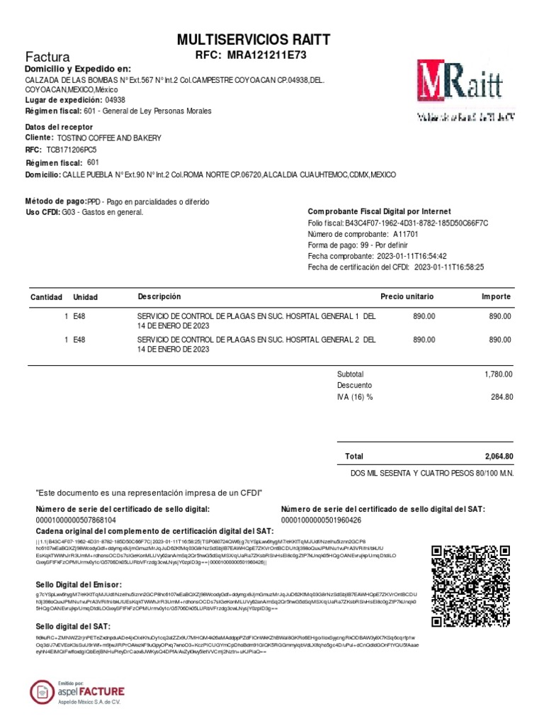 Factura: Multiservicios Raitt | PDF