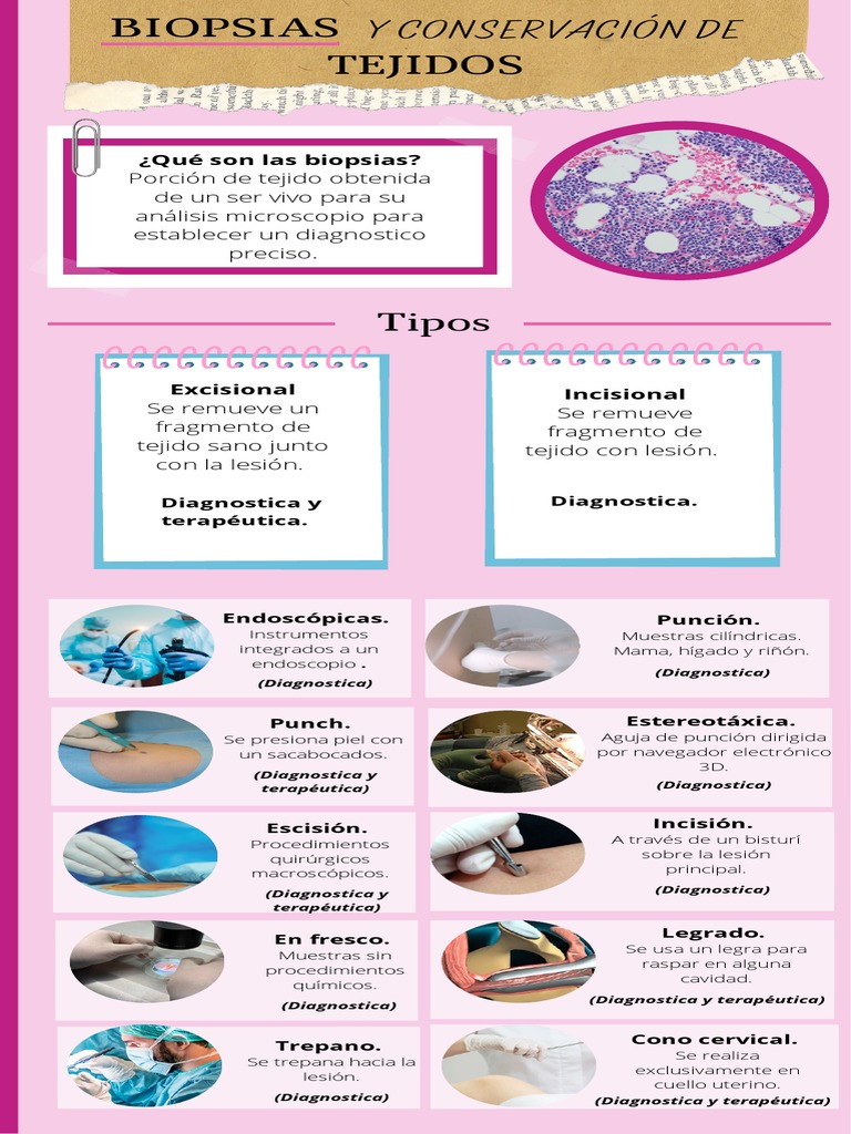 Biopsias y Conservación de Tejidos | PDF | Biopsia | Formaldehído