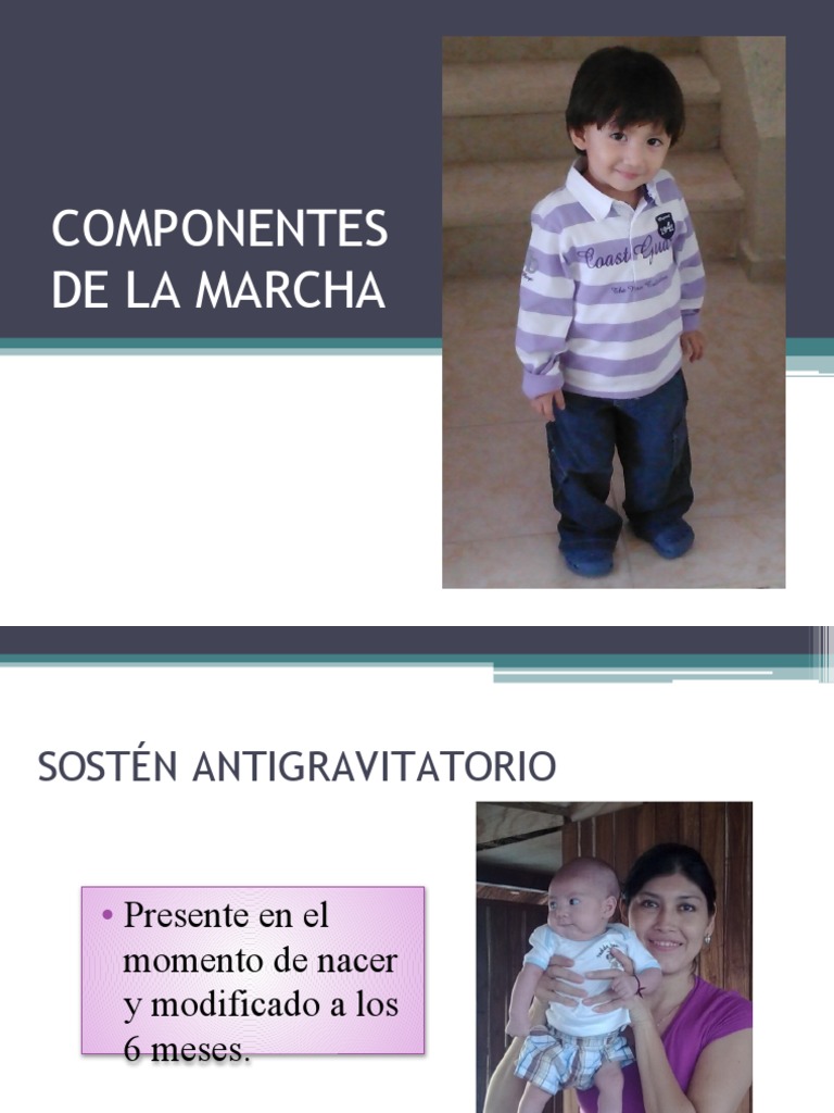 Componentes de La Marcha | PDF