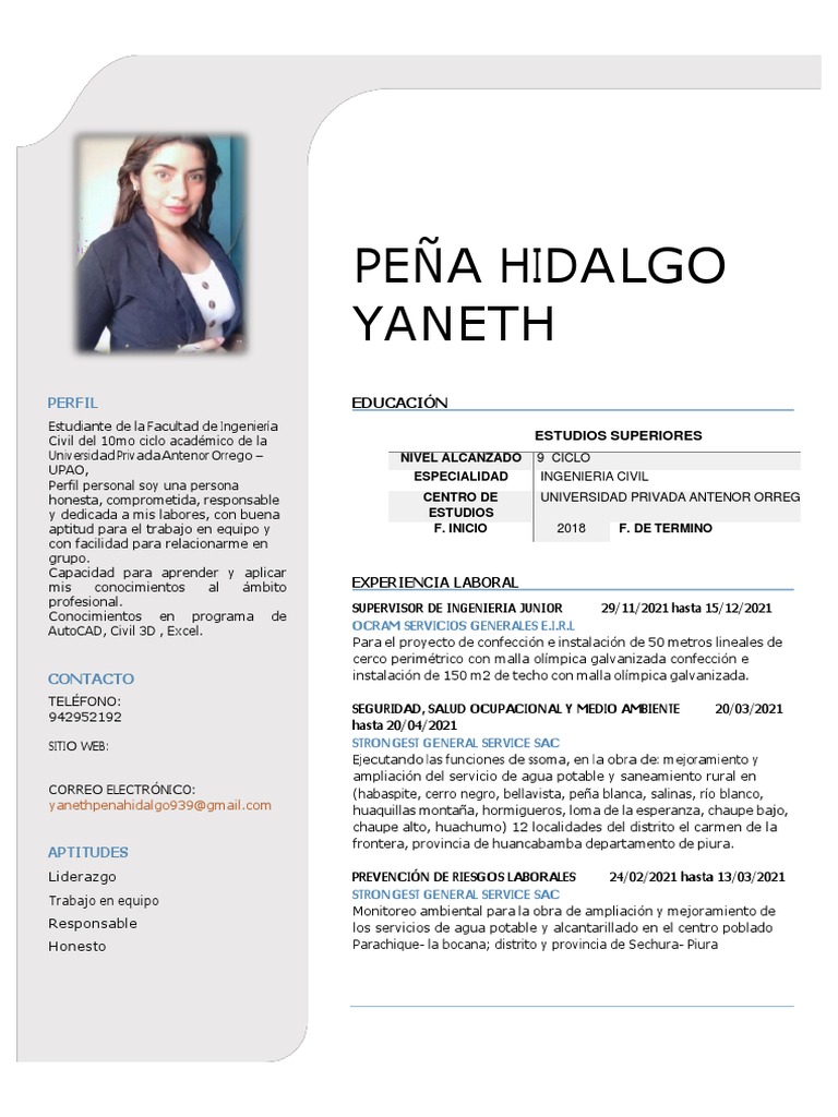 CV, Curriculum Actualizado Peña Hidalgo 2023 | PDF
