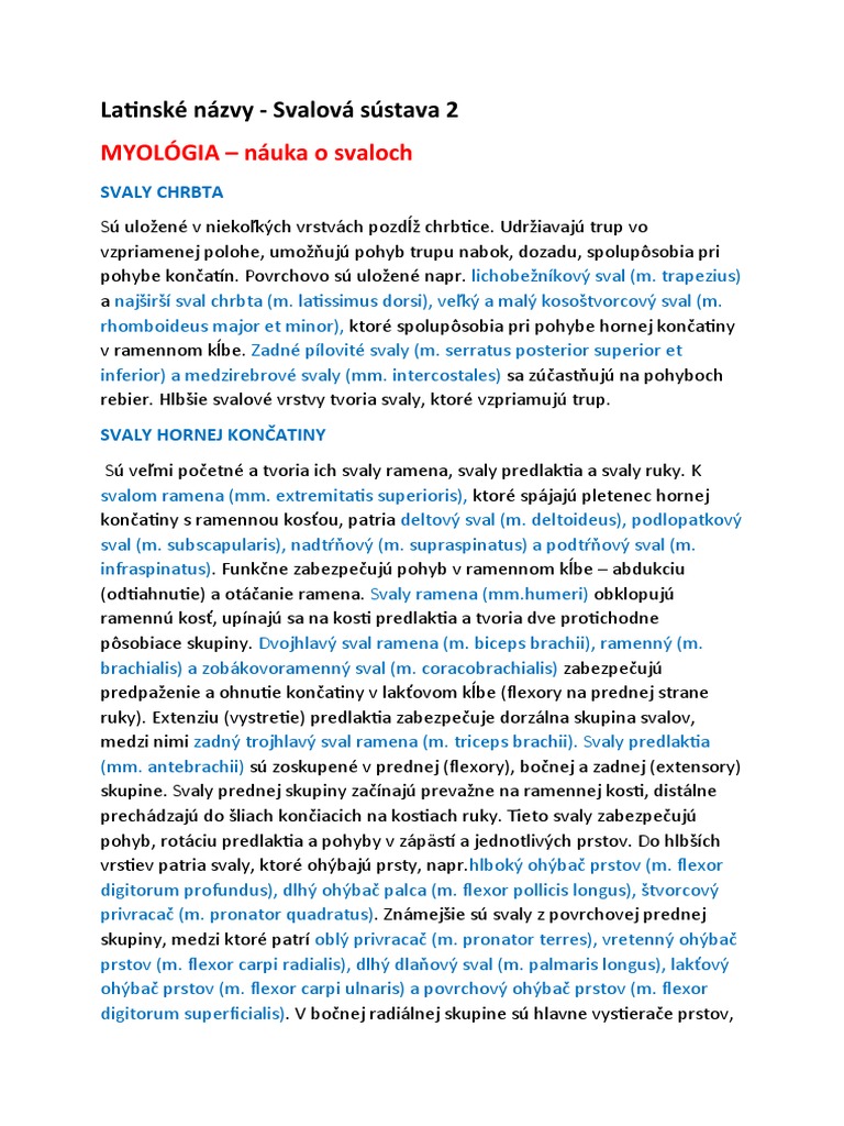 Latinčina Svaly 2 | PDF