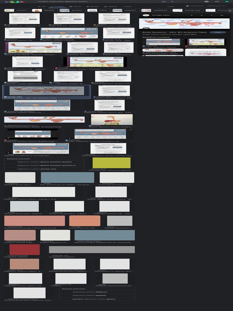 Student Exploration Cell Types