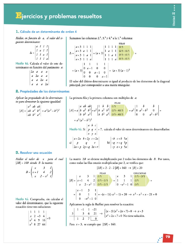 Tema 2. Determinantes Ejercicios | PDF