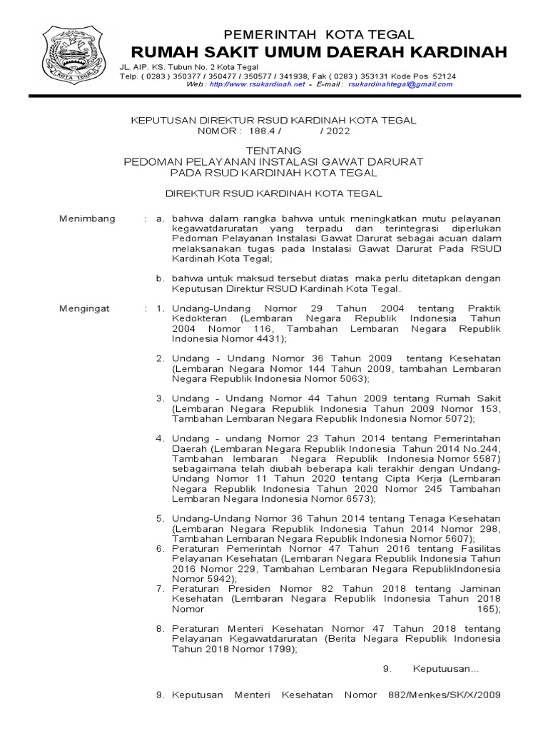 SK. Pedoman Pelayanan IGD | PDF