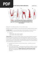 Anatomia Interna do Dente 46 | PDF | Dente humano | Áreas da odontologia
