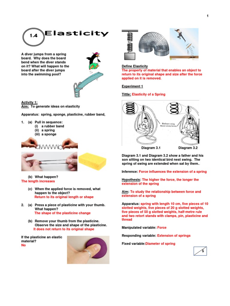 1.4 Elasticity Answer 2021 | PDF | Elasticity (Physics) | Force