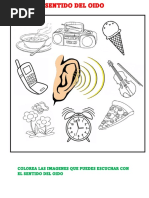 Hoja De Trabajo Sobre El Oído