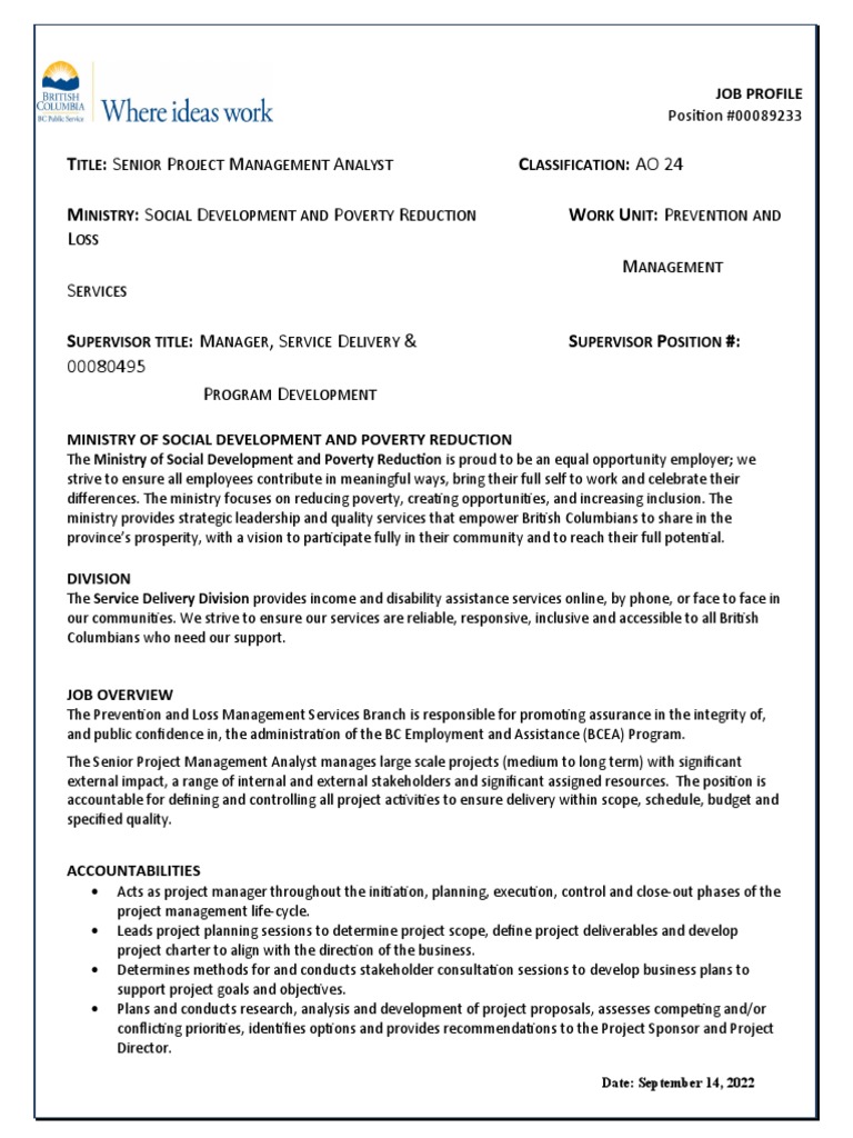 AO24 - Senior Project Management Analyst | PDF | Project Management | Leadership