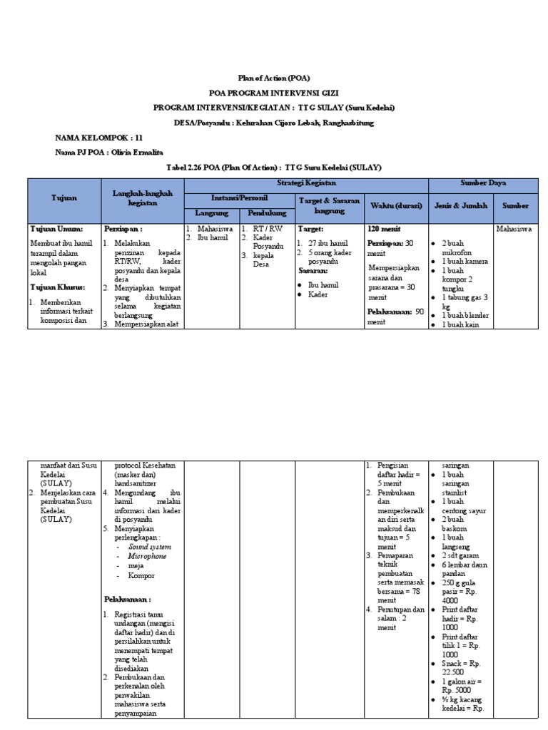 Plan of Action Teknologi Tepat Guna Bumil | PDF