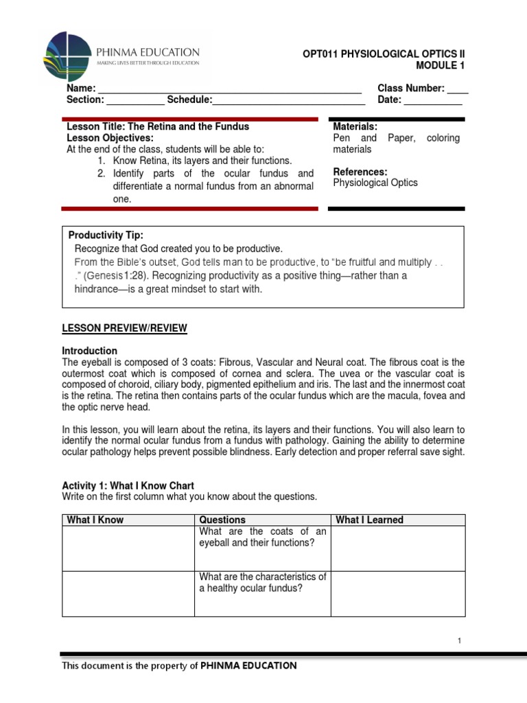 Opt011 Physiological Optics 2 - Edited | PDF | Retina | Action Potential
