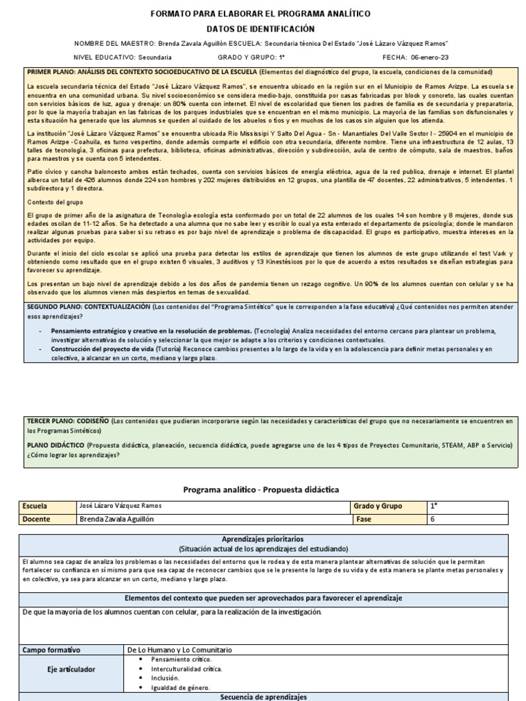 Formato para Elaborar El Programa Analítico | PDF | Aprendizaje | Cognición
