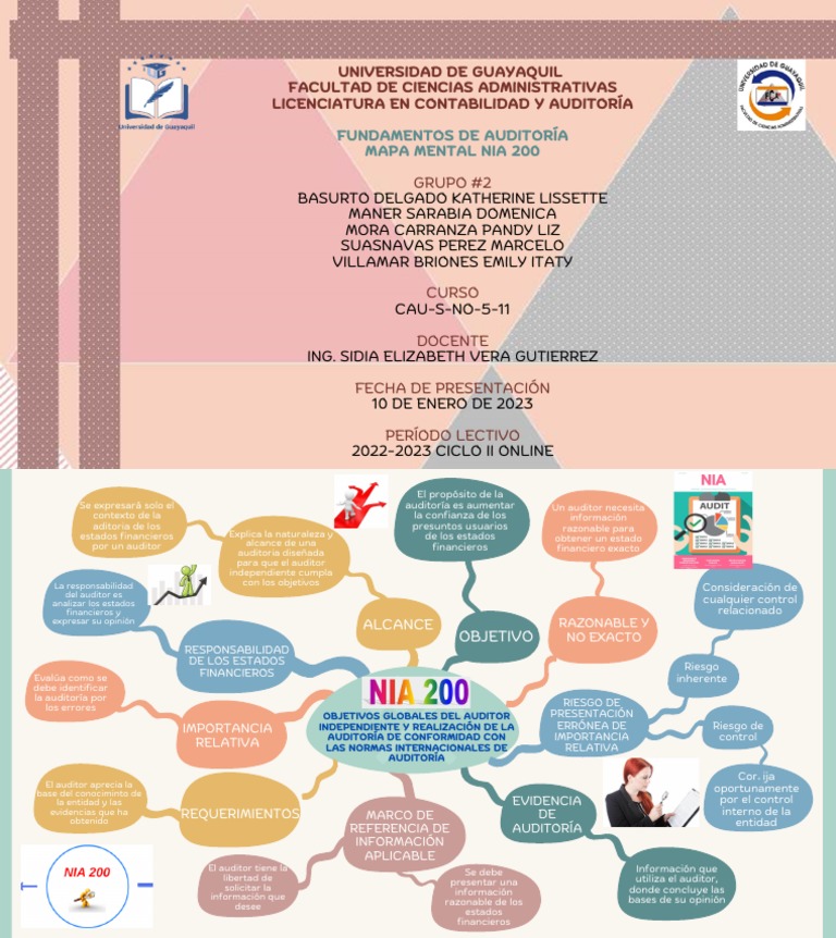 Mapa Mental Nia 200 - Grupo 2 | PDF | Auditoría | Contralor