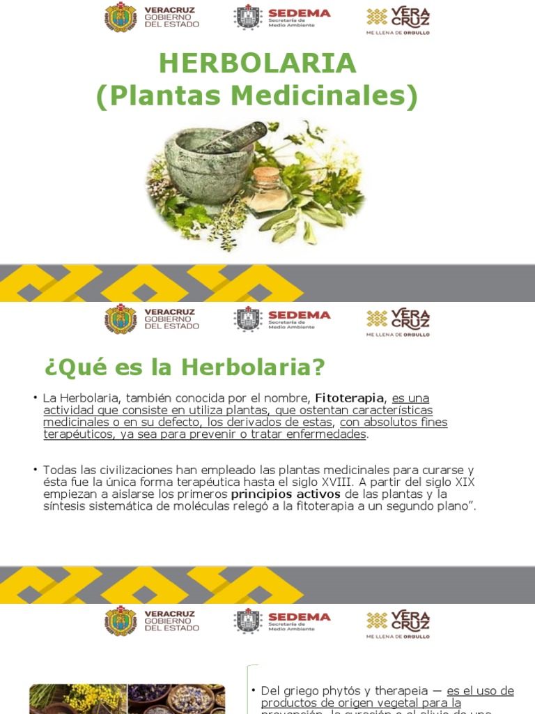 Herbolaria | PDF | Medicamentos con receta | Plantas medicinales