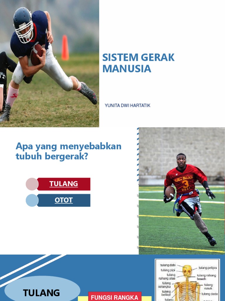 Sistem Gerak Manusia | PDF