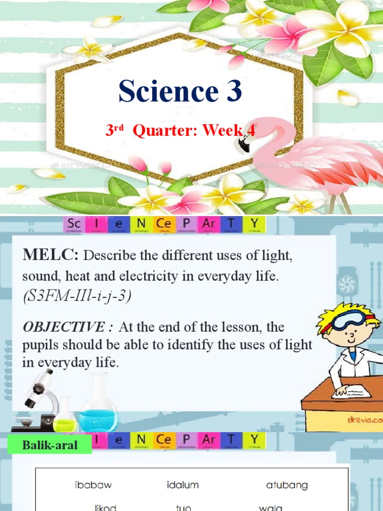 Science 3 | PDF